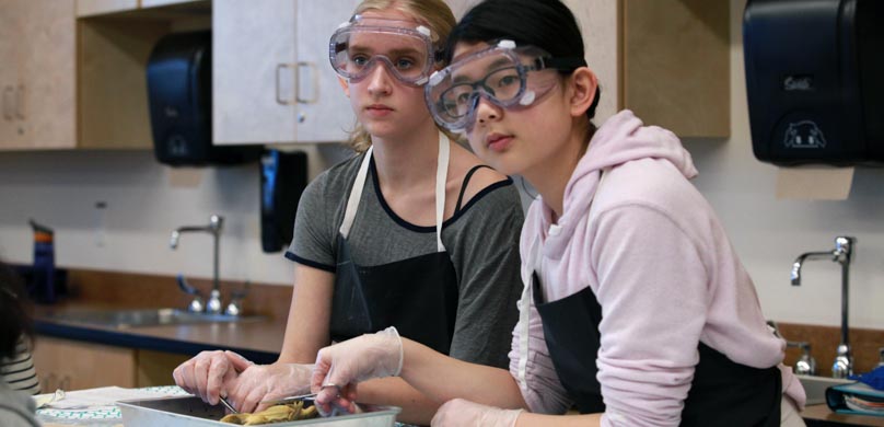 Science - West Ridge School